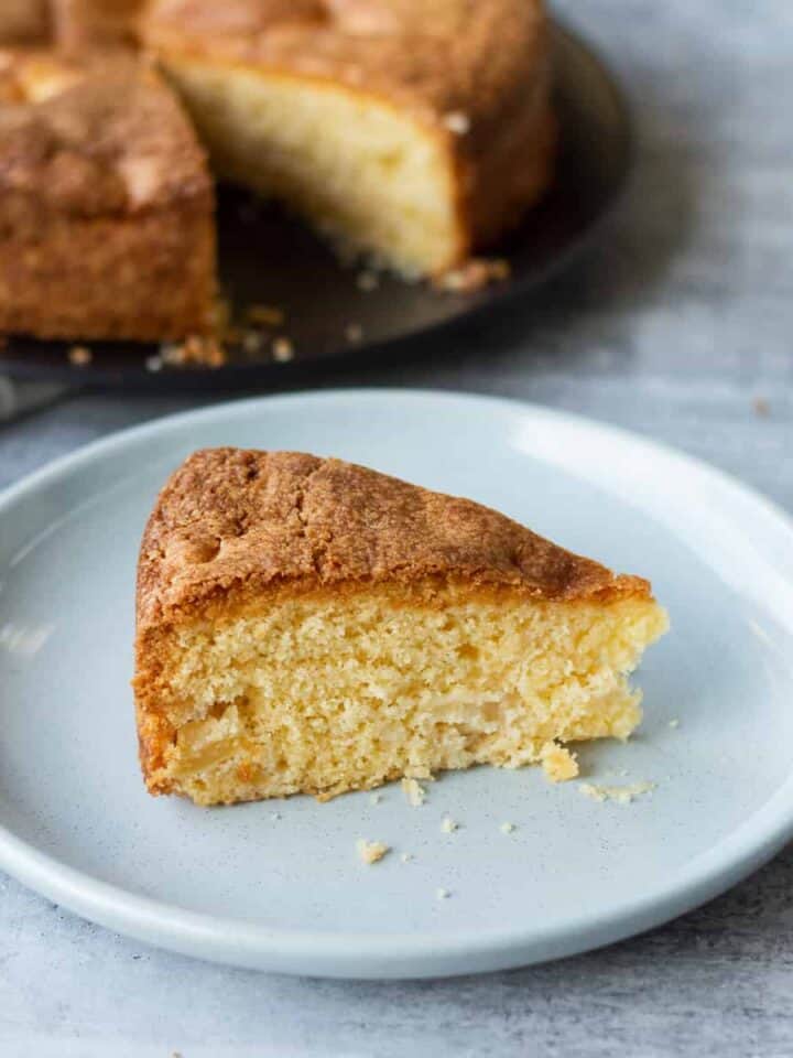 Soft & Fluffy Thermomix Chocolate Cake